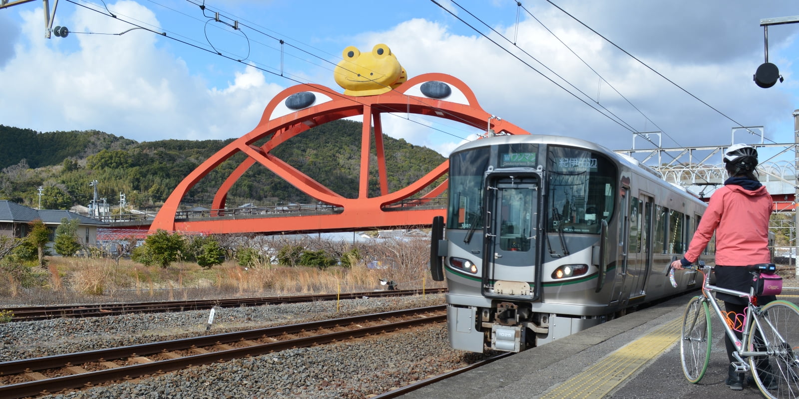 Kinokuni Line Cycle Train | Train Information